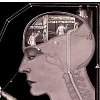 10 Great Books about Scientists | Science Book a Day