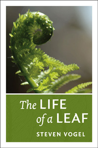 The Life of a Leaf | Science Book a Day