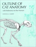 Outline of Cat Anatomy with Reference to the Human | Science Book a Day