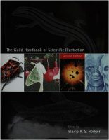 The Guild Handbook of Scientific Illustration | Science Book a Day