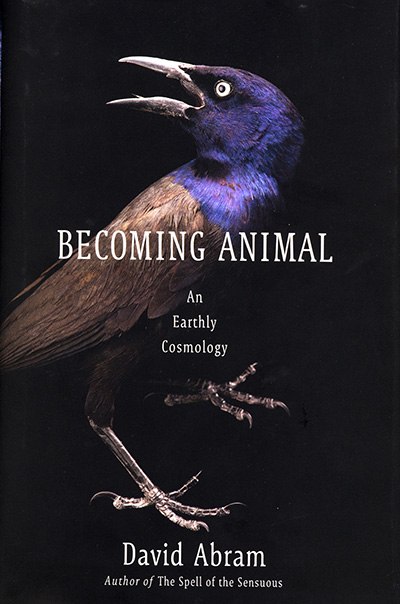 Becoming Animal: An Earthly Cosmology | Science Book a Day
