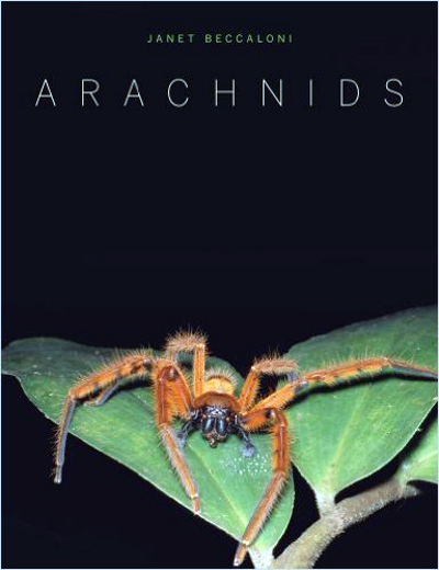 Arachnids | Science Book a Day