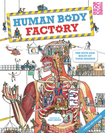 Human Body Factory: The Nuts and Bolts of Your Insides | Science Book a Day
