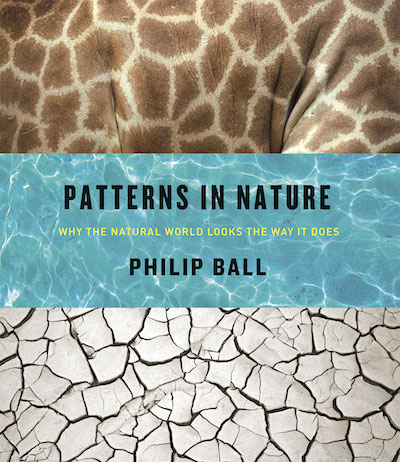 Patterns in Nature: Why the Natural World Looks the Way It Does ...